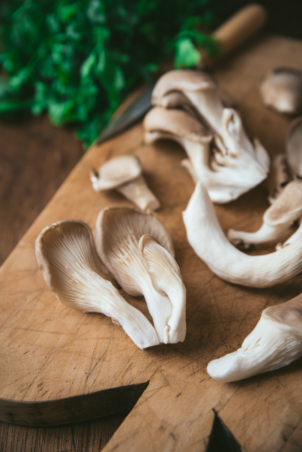 Pleurotes sautés à la poêle - Recette facile et rapide