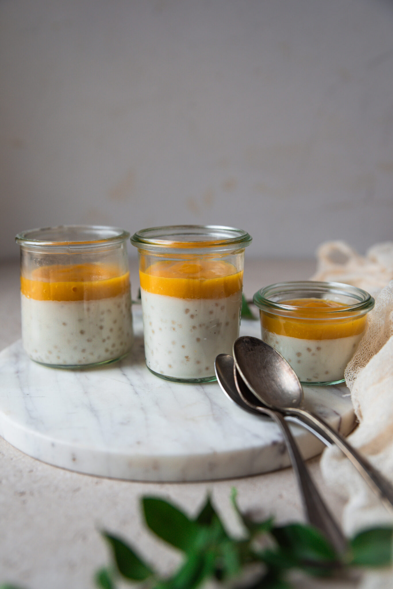 Coconut Mango Sago Tapioca Pudding - Recipe